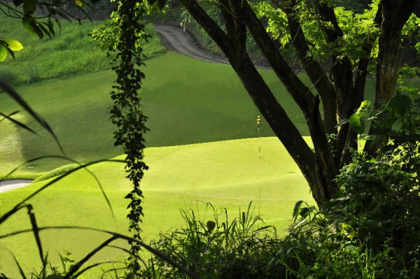 South Forbes Golf Club - South Forbes