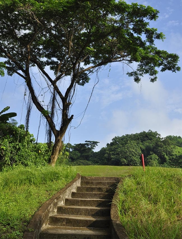 South Forbes Golf Club - South Forbes